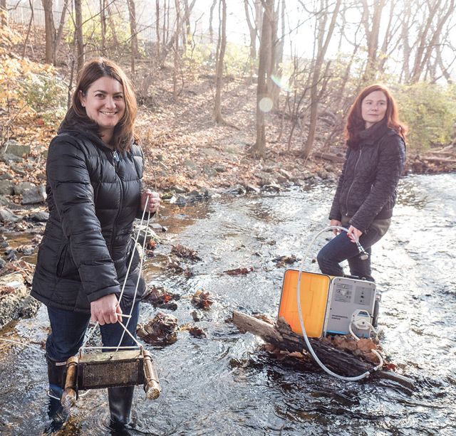 Sabrina Jedlicka and Kristen Jellison: A $5 fix for a nasty parasite ...